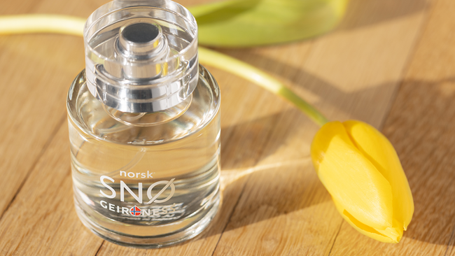 Norsk SNØ – Laila Inc.